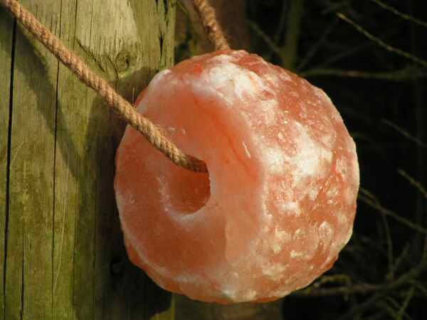 Himalayan Salt Blocks Benefits For Your Cattle